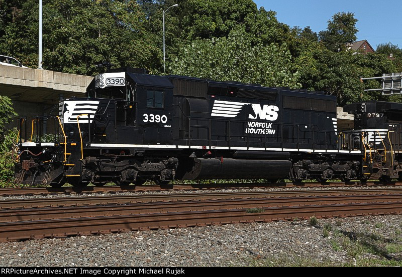 NS 3390